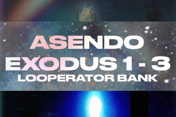 Lil Gunnr - The Summrs OFFICIAL Vocal Preset - ProducerWAV