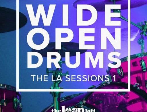 Lil Gunnr - The Essential Master Plugin - ProducerWAV