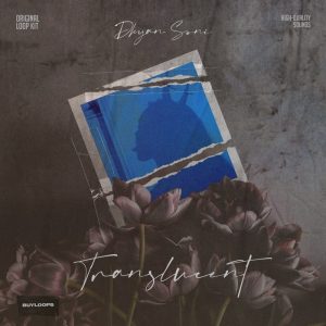 Paryo – Ethereal (Loop Kit) - ProducerWAV